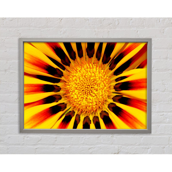 Ebern Designs Das Zentrum der Sonne - Einzelner Bilderrahmen Kunstdrucke auf Leinwand | Wayfair.de